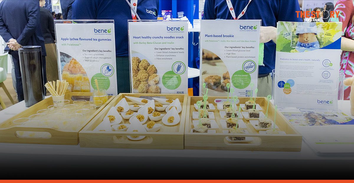 BENEO คว้าอย. ไทยรายแรกไฟเขียวคุณประโยชน์ 'พรีไบโอติก' ในใยอาหารจากรากช ...